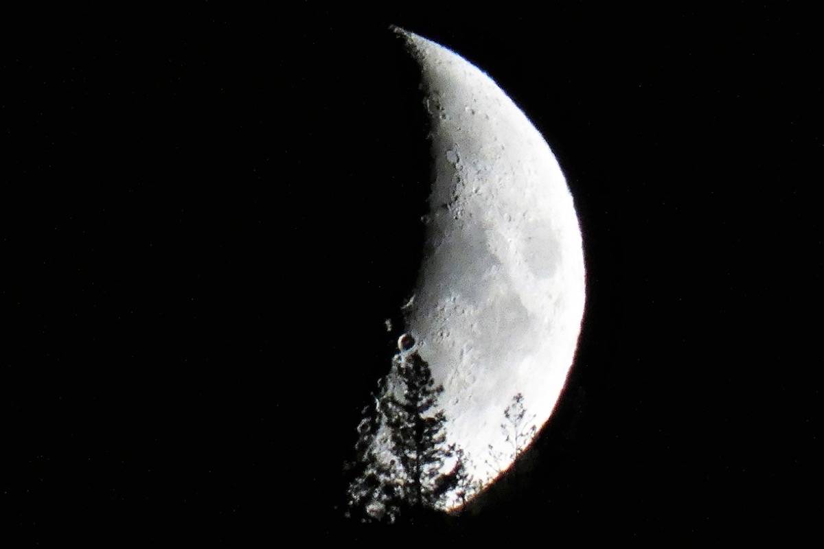 To the moon and back | Trail Times