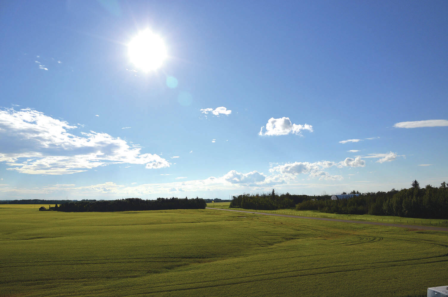 Take precautions in warm weather to keep kids safe, B.C. police advise ...